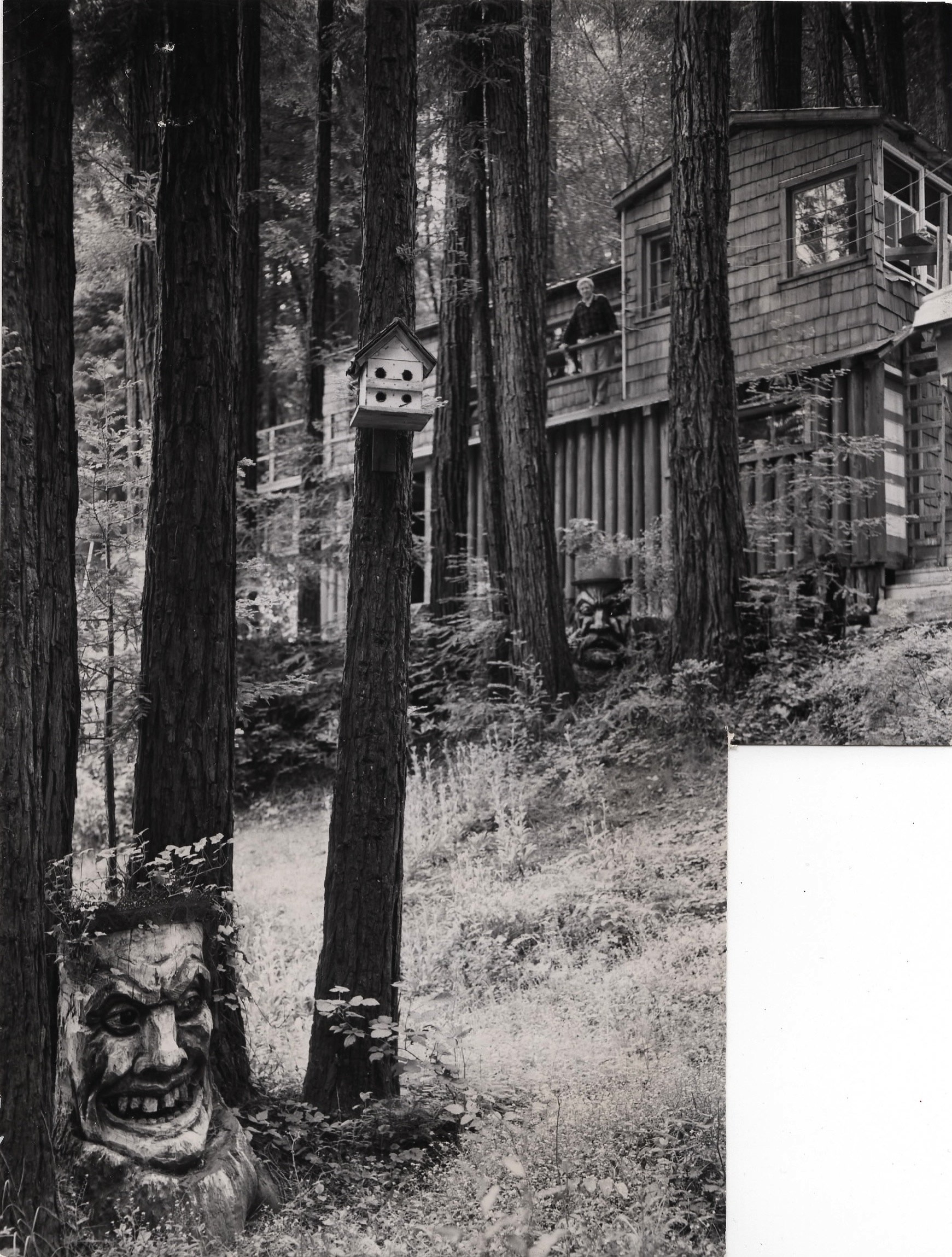 Emil Janel « The Community of Rio Nido